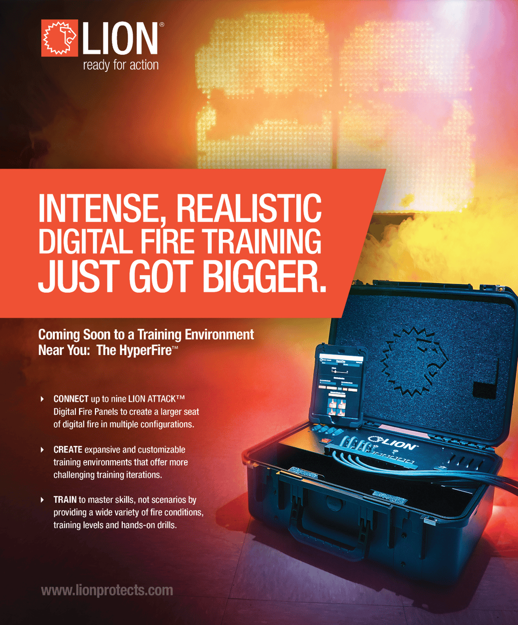 THE LION APPROACH TO TRAINING